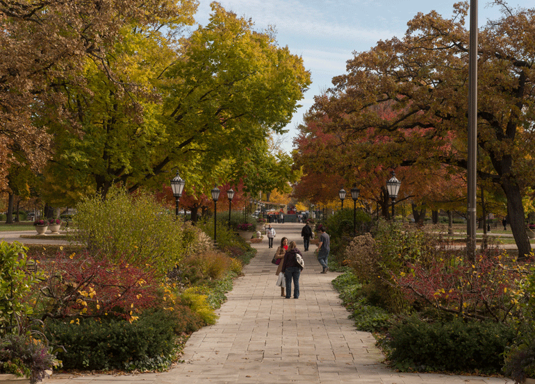 Main Quadrangle | Explore the architecture at the University of Chicago