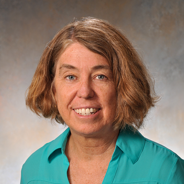 Mary Silber | Committee on Computational and Applied Mathematics | The ...