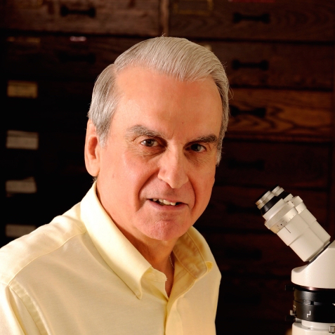 Lawrence Grossman | Enrico Fermi Institute | The University of Chicago