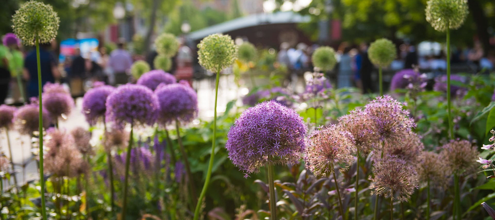 The University of Chicago Facilities Services