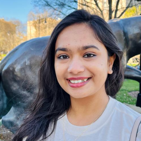 Atreyie Ghosh | The James Franck Institute | The University of Chicago