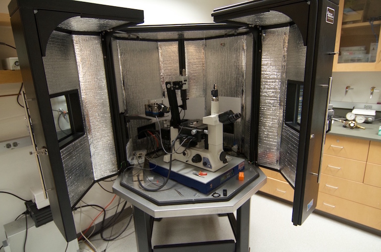 Scanning Probe Microscopy | Chicago Materials Research Center | The ...