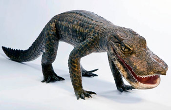 Discoveries | Paul Sereno - Paleontologist | The University of Chicago