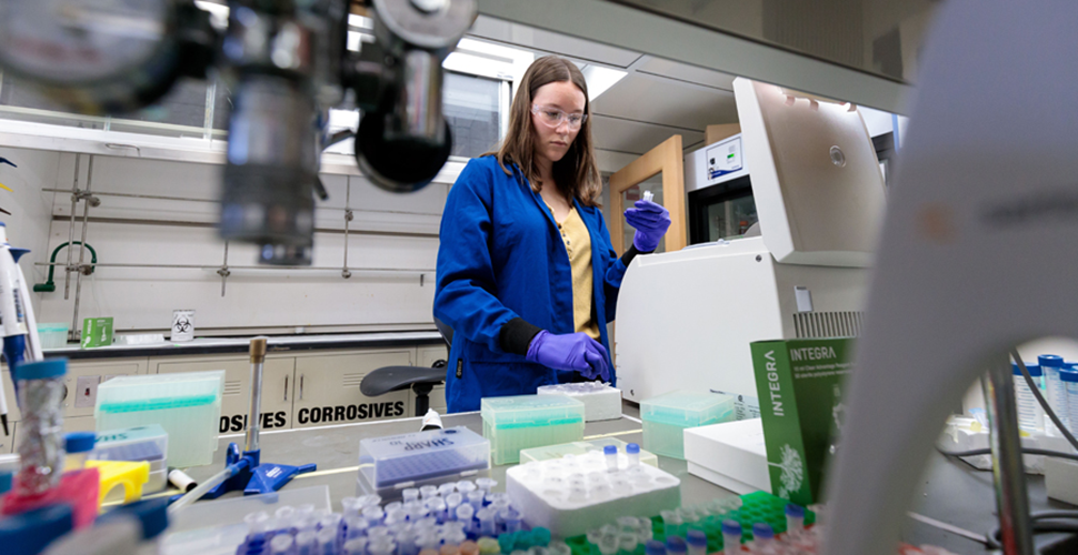 Physical Sciences Division Launches New Postbaccalaureate Premedical Certificate Program | News ...