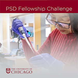 Twenty PSD students selected as 2020–21 Radix Trading Fellows | News ...