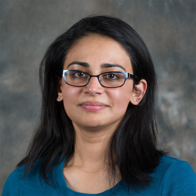 PSD in Practice: An interview with clean energy professional Sneha Vasudevan | News | Physical ...