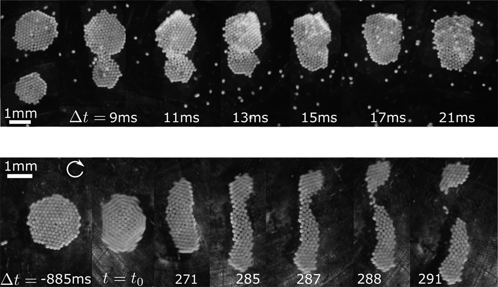 PSD research in self-assembling granular matter to be highlighted at ...