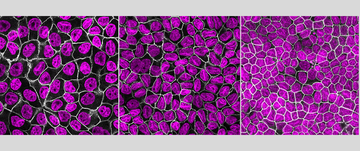 Physical Sciences Division | The University of Chicago