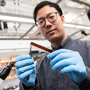 News | Physical Sciences Division | The University of Chicago