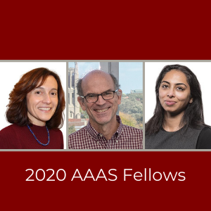 News | Physical Sciences Division | The University of Chicago