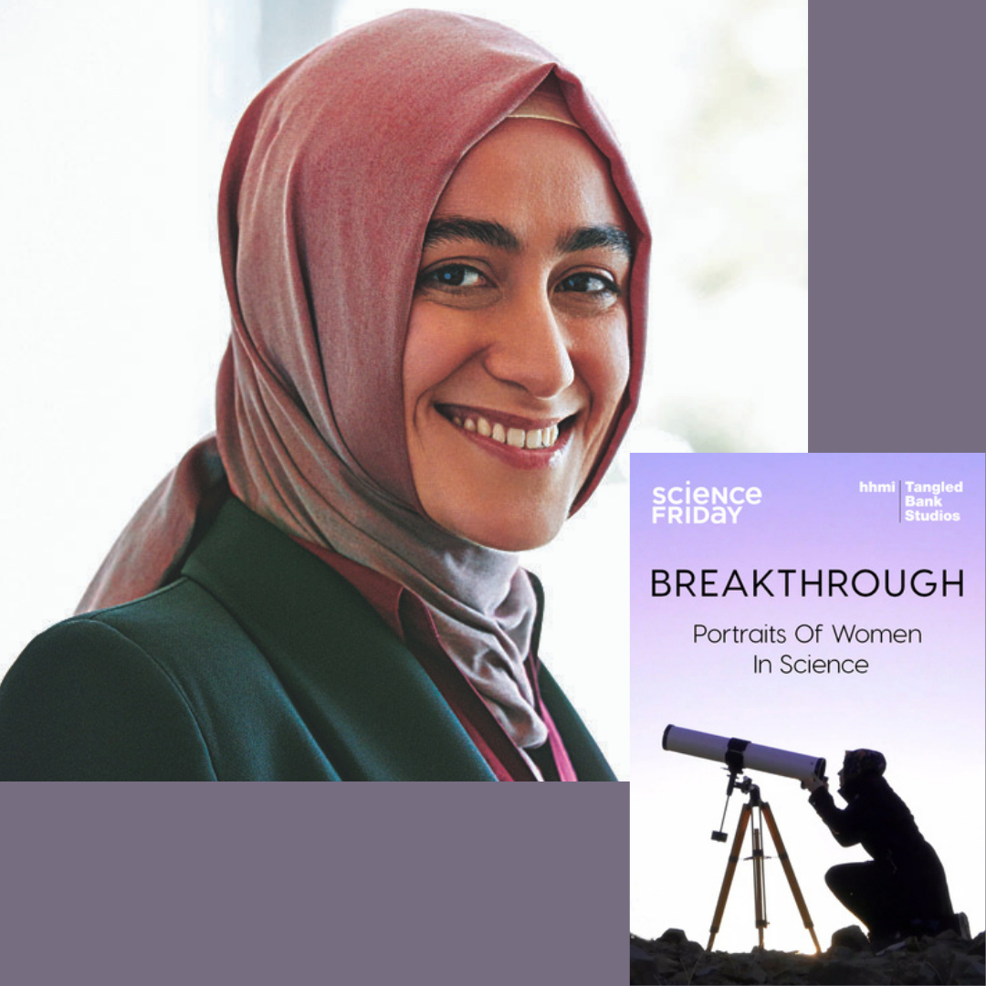 News | Physical Sciences Division | The University of Chicago