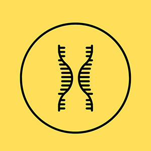 News | Physical Sciences Division | The University of Chicago