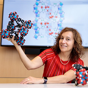 News | Physical Sciences Division | The University of Chicago