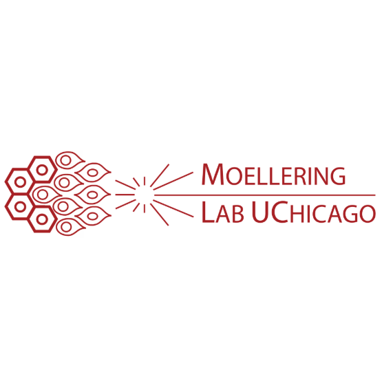 News | Physical Sciences Division | The University of Chicago