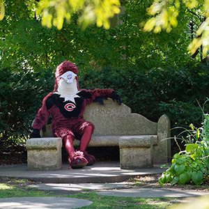 News | Physical Sciences Division | The University of Chicago