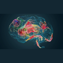 Department of Physics | The University of Chicago