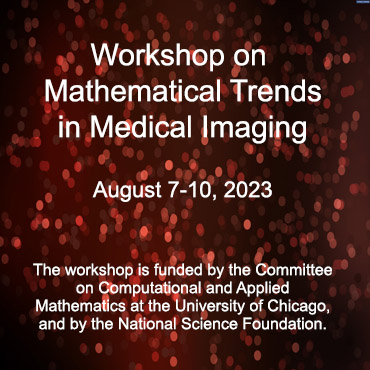 Workshop on Mathematical Trends in Medical Imaging | News | Department ...