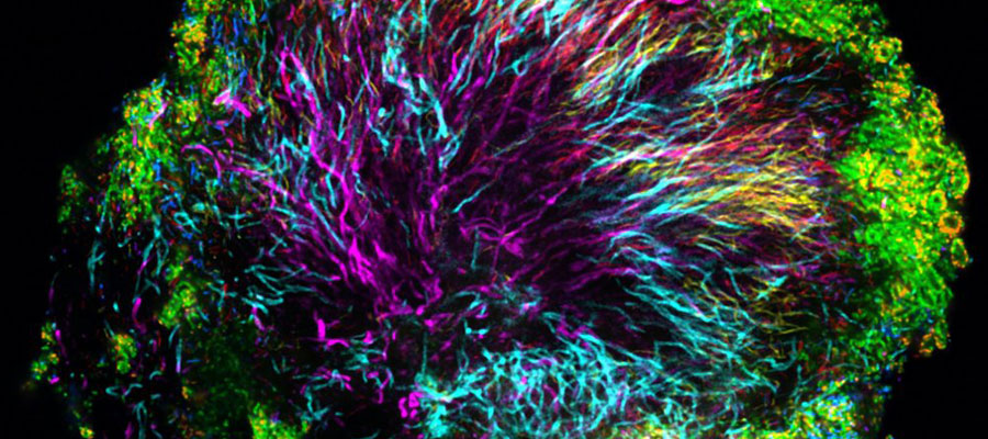 Research | The University of Chicago