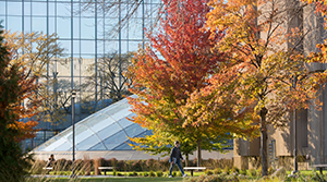 Academics | The University of Chicago